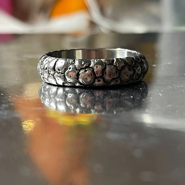 The One : Meteorite titanium beauty ring